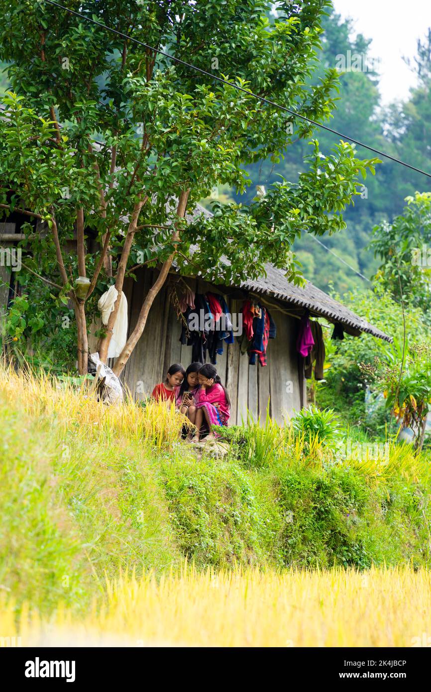 Mu Cang Chai, Vietnam - 24 Sep 2022: Hmong ethnic minority people in Mu ...