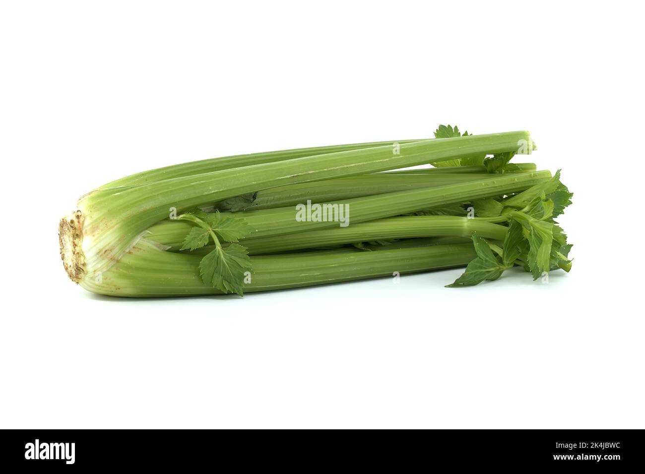 Fresh celery stalks with leaves isolated on white background Stock ...