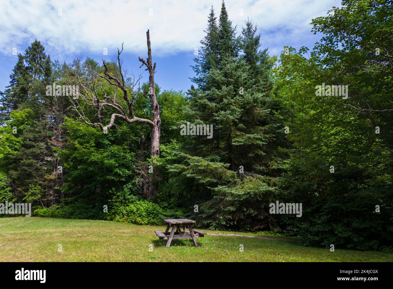 A scenic view of picnic table and benches against green trees in Agawa ...
