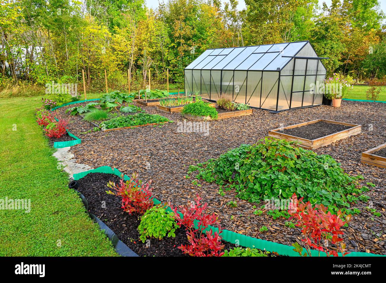 Greenhouse and cultivating boxes in private garden Stock Photo - Alamy