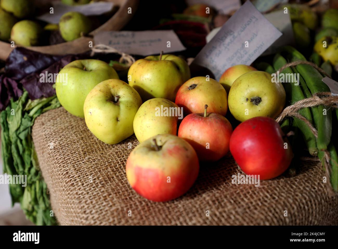Green cooking apples in hi-res stock photography and images - Alamy