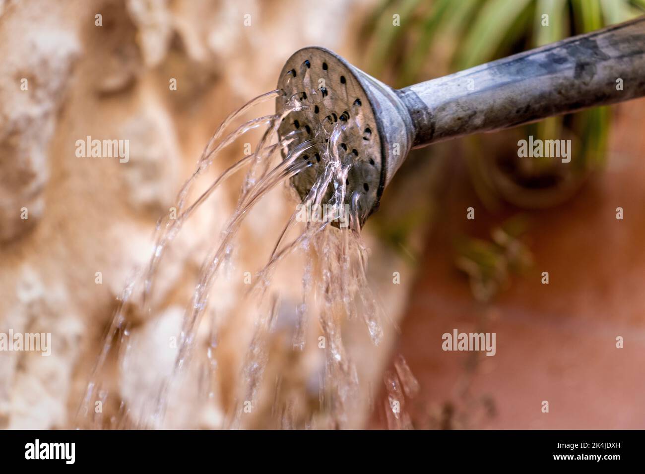Detail plan of a watering can. Gardening concept Stock Photo - Alamy