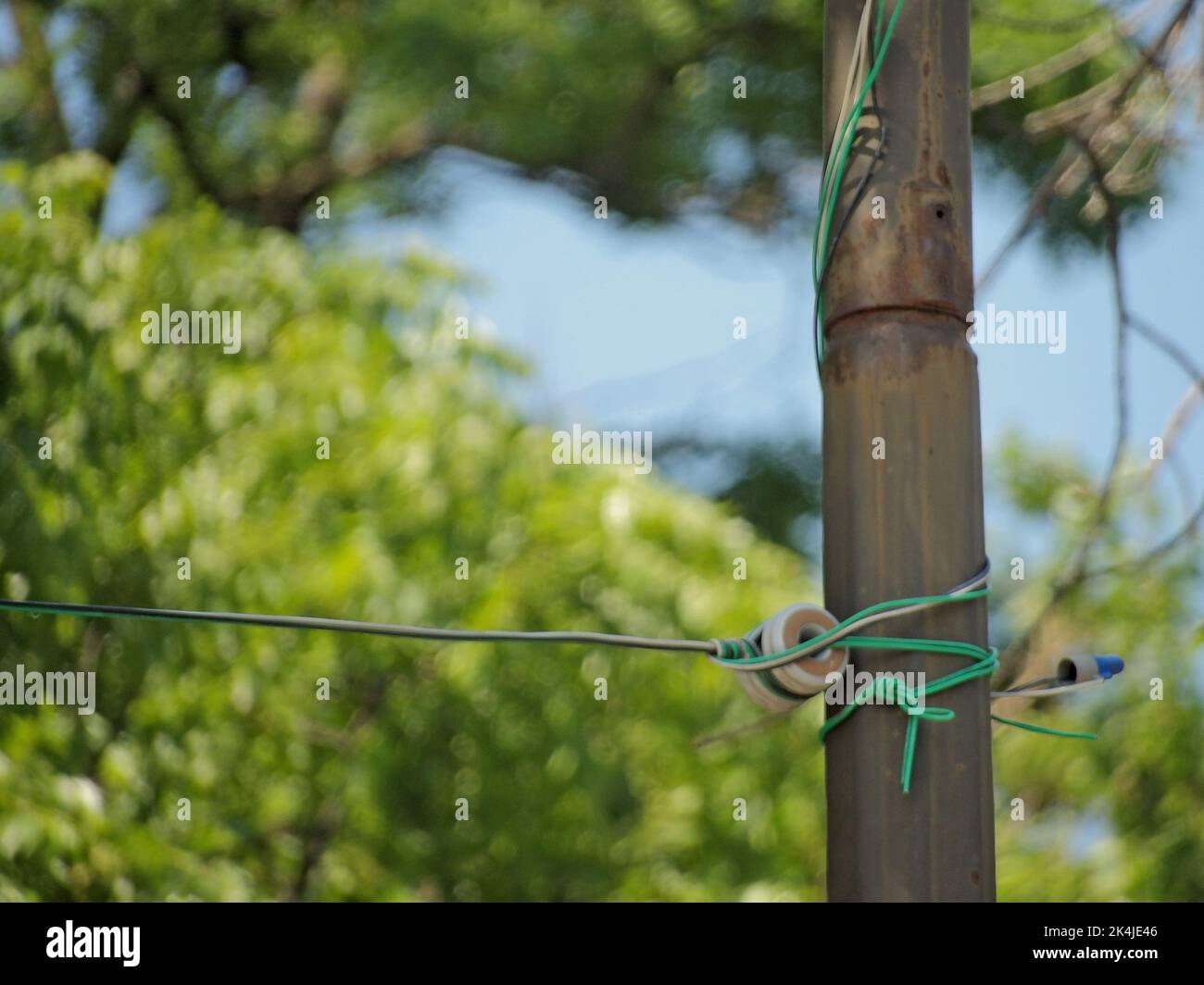 A closeup of plastic fence wire tied to a wooden pole Stock Photo - Alamy