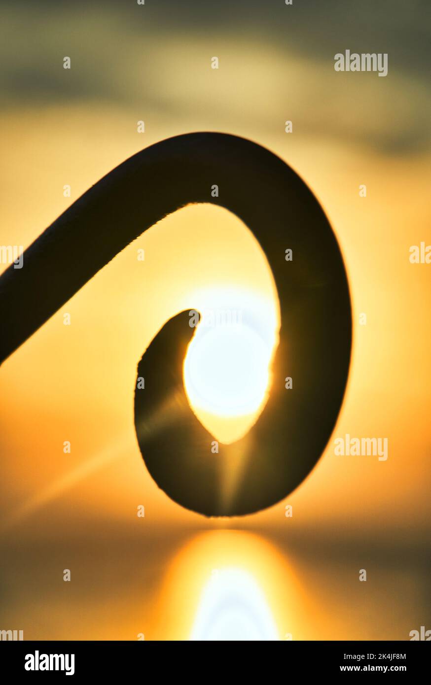 A silhouette of spiral shape with sunset background, vertical shot ...