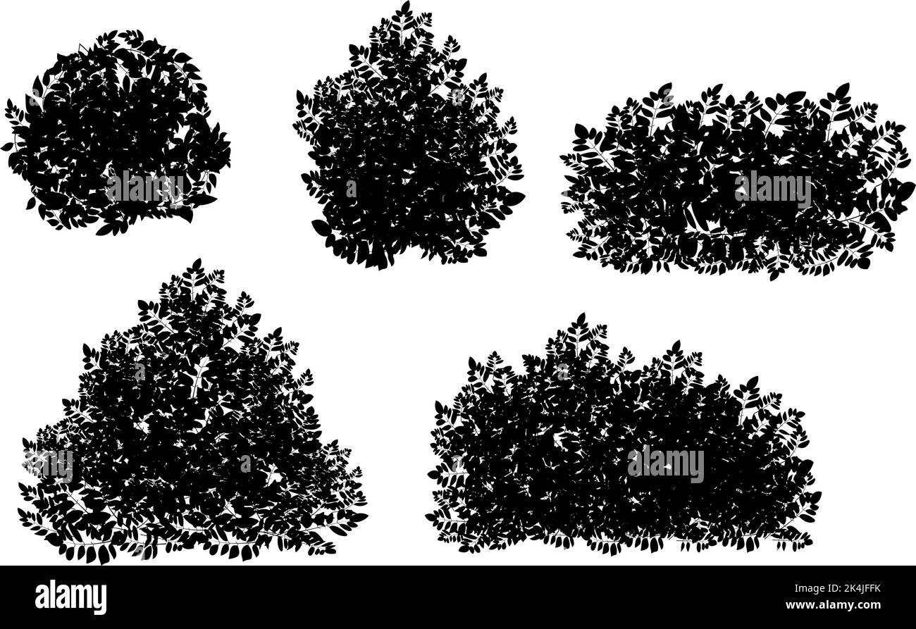 Realistic garden shrub, seasonal bush, boxwood, tree crown bush foliage ...