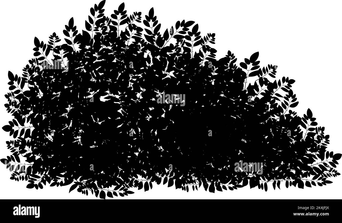 Realistic garden shrub, seasonal bush, boxwood, tree crown bush foliage ...