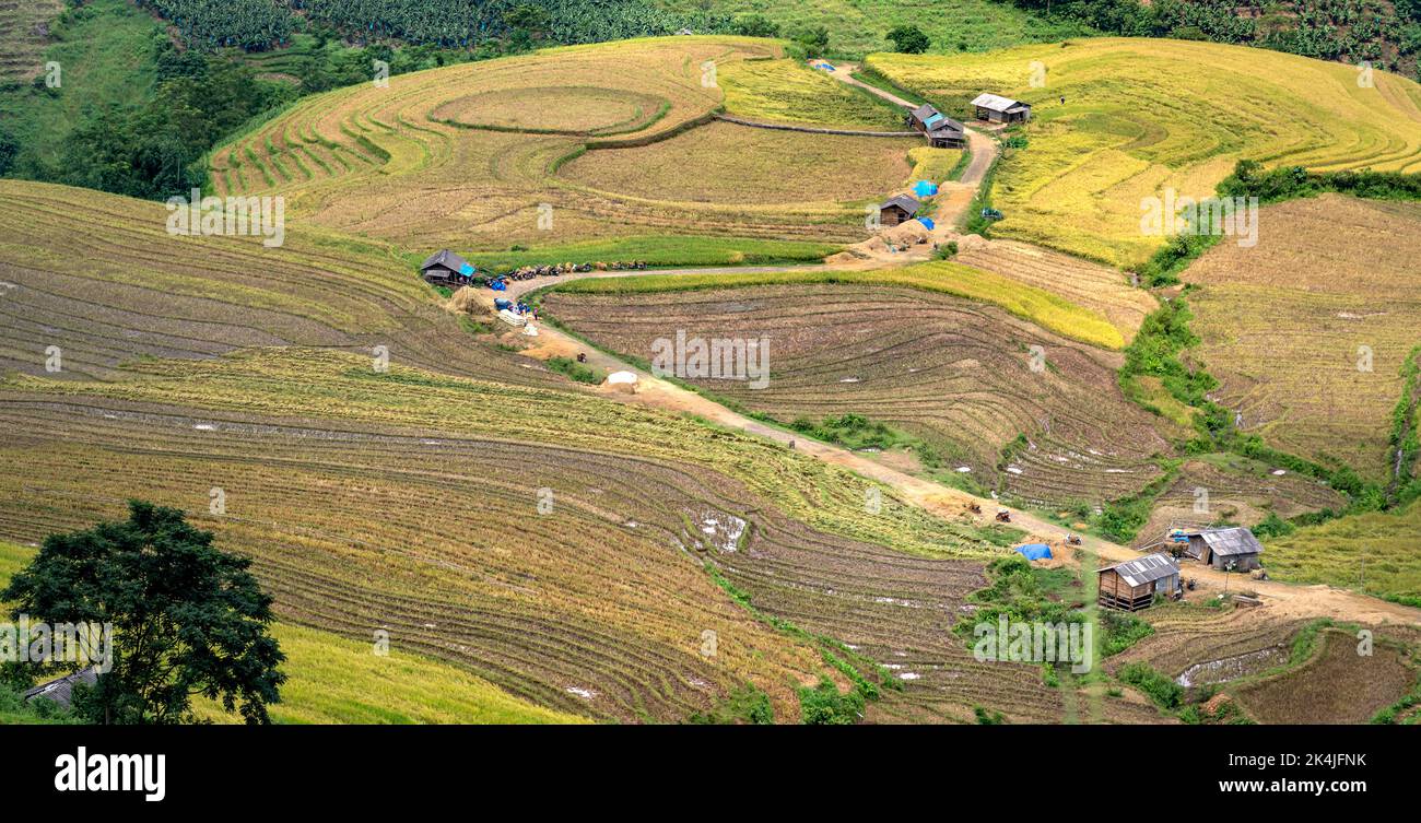 Admire the beautiful terraced fields in Y Ty commune, Bat Xat district ...