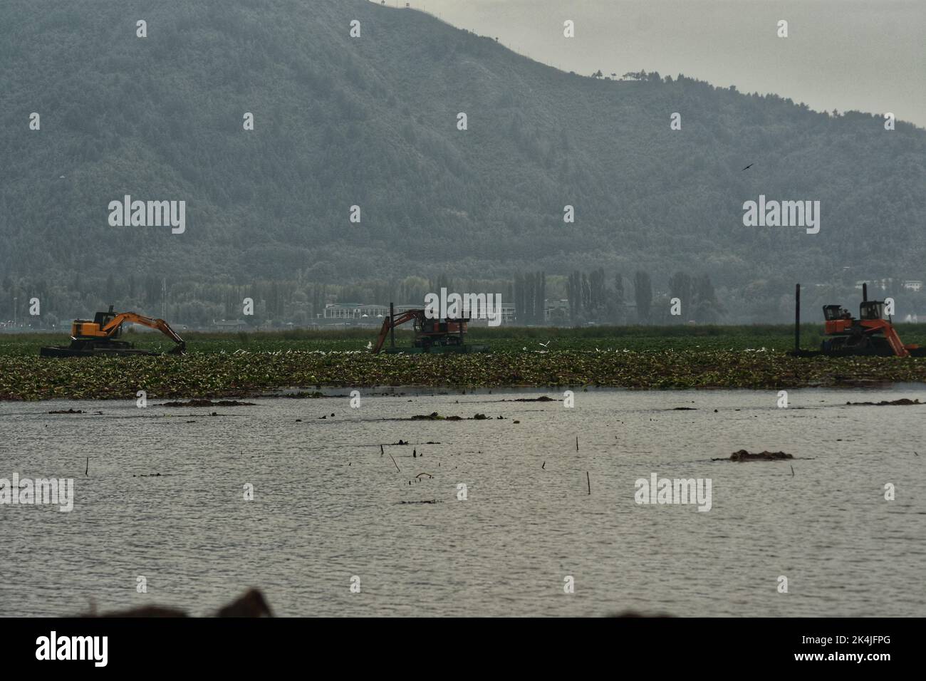 October 2, 2022, Srinagar, jammu and kashmir, India: More than a dozen ...