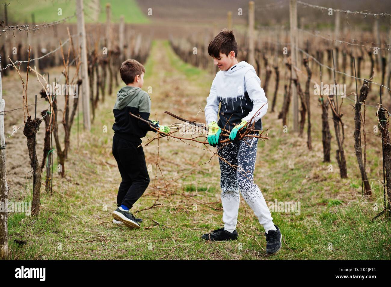 Brothers working together hi-res stock photography and images - Alamy