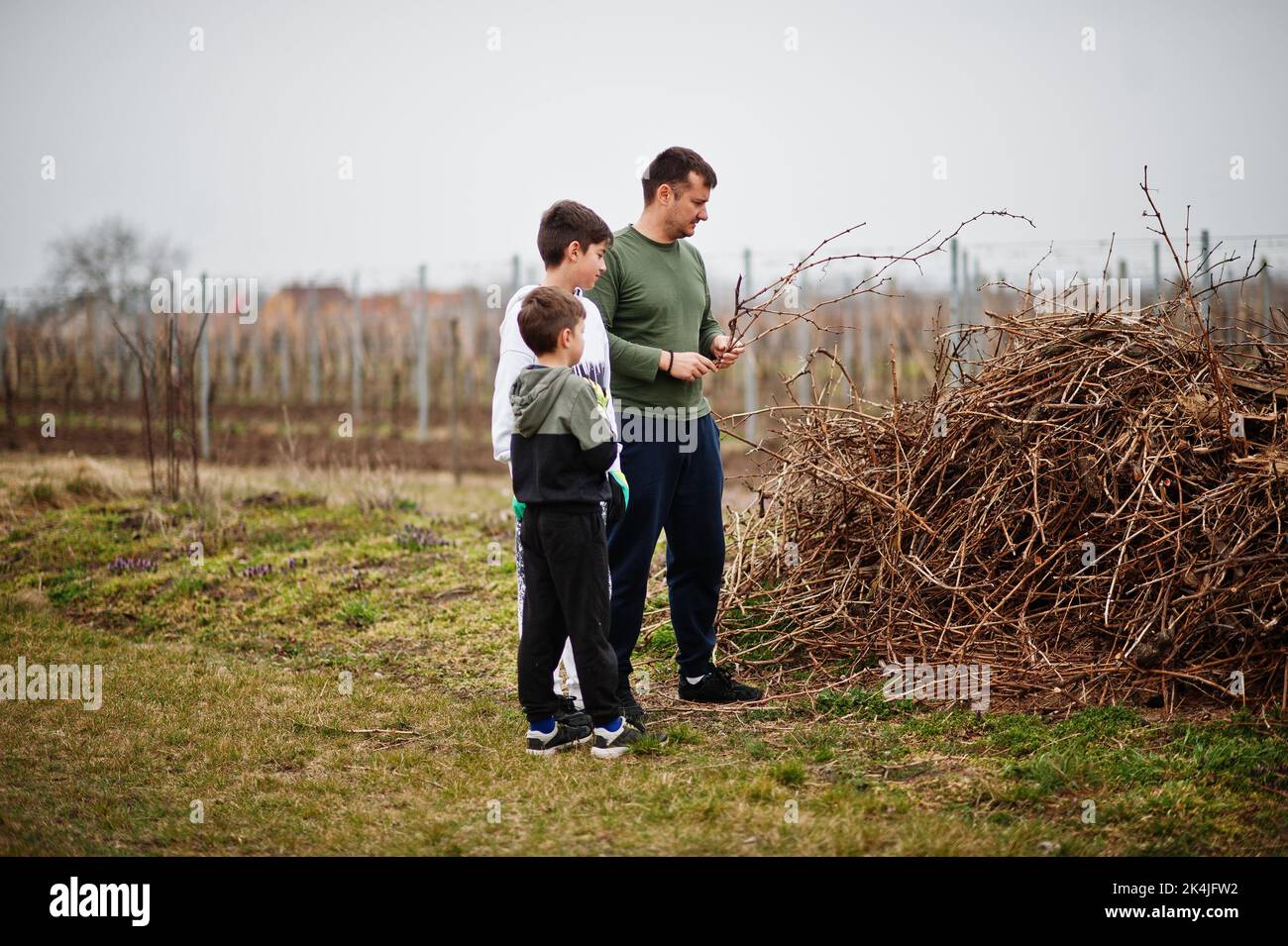 Father with two sons working on vineyard Stock Photo - Alamy