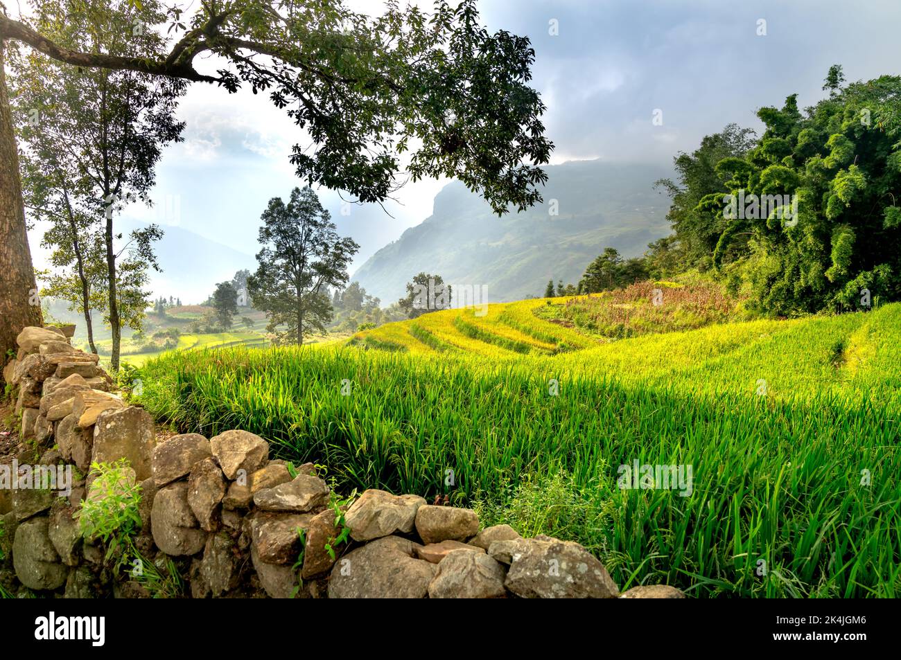Admire the beautiful terraced fields in Y Ty commune, Bat Xat district ...