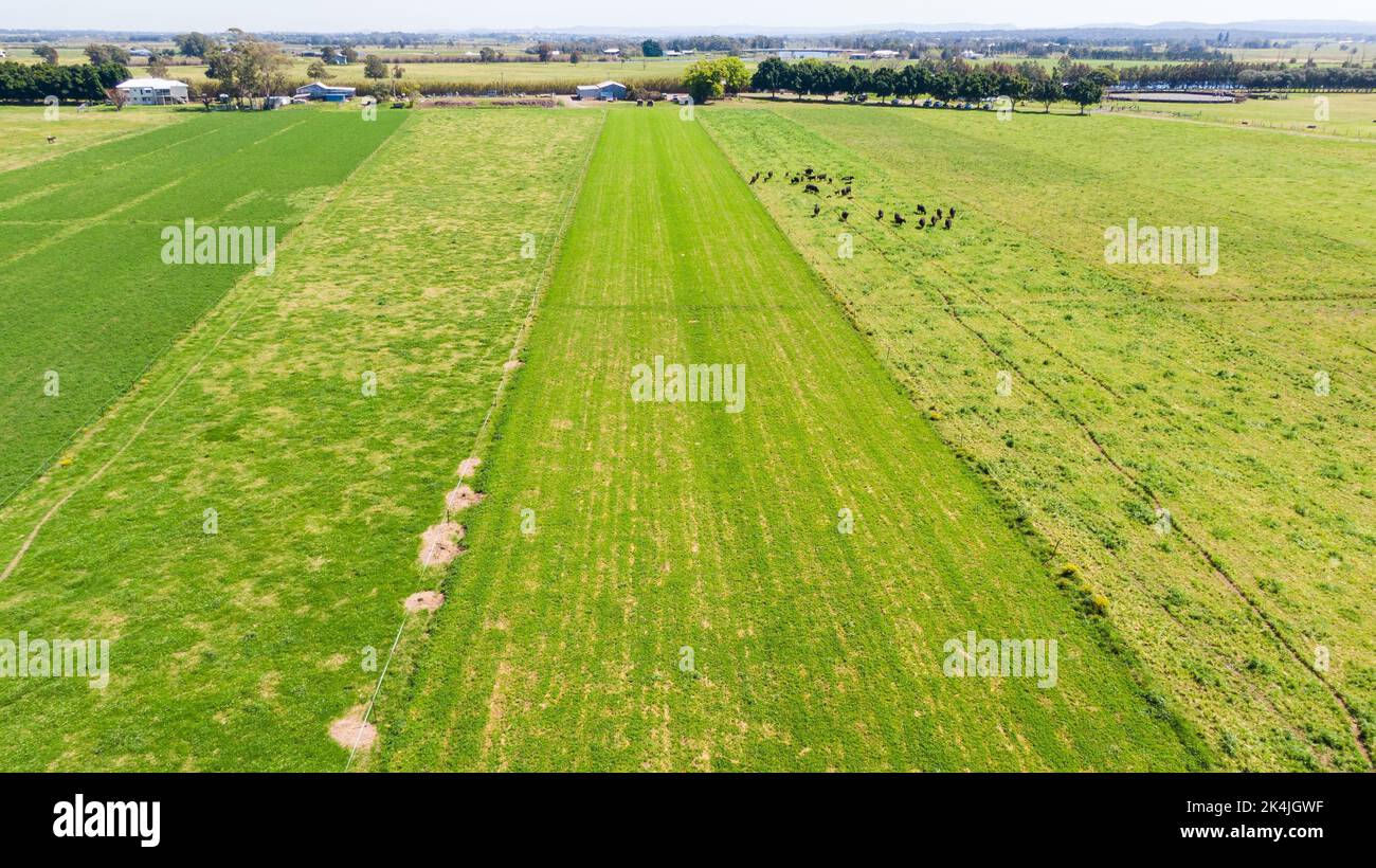 An aerial view of farming greenery field surrounded by buildings in ...