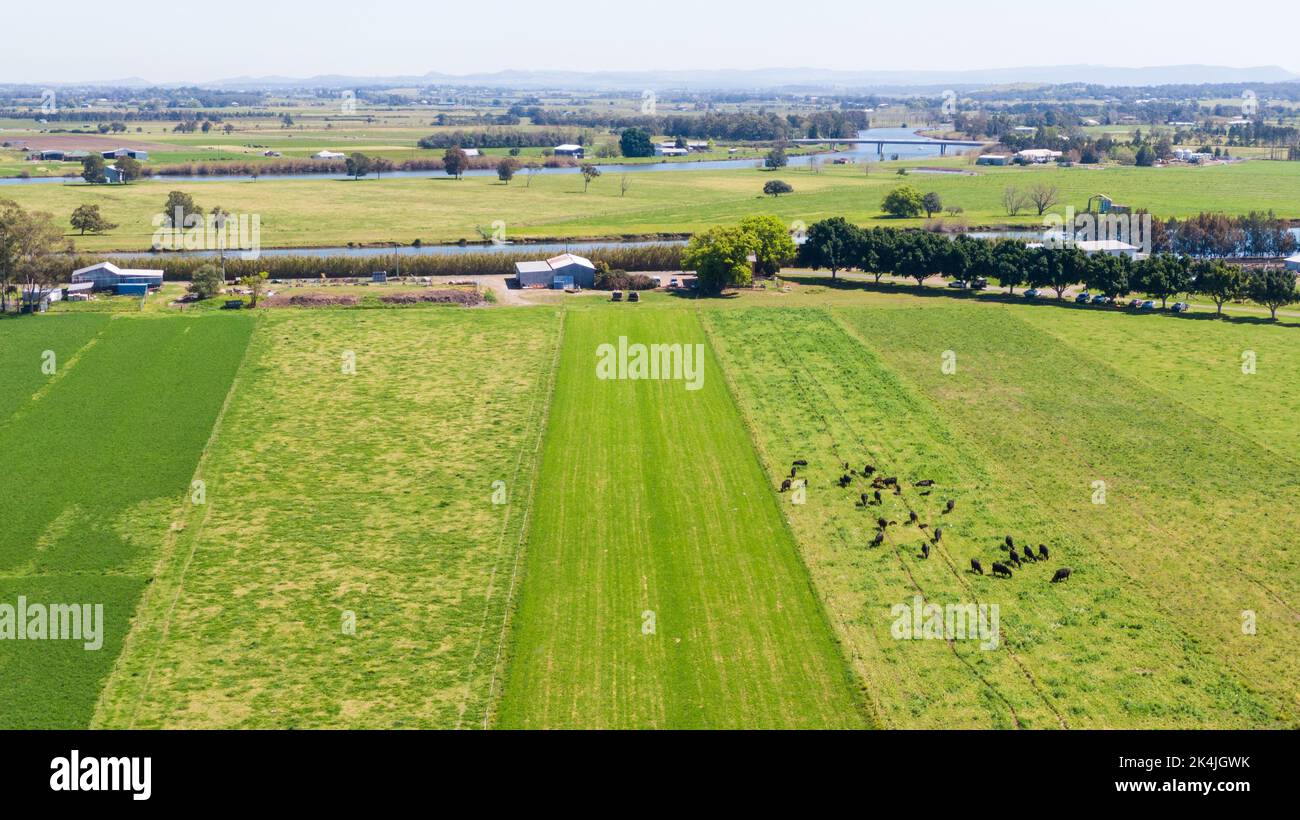 An aerial view of farming greenery field surrounded by buildings and ...