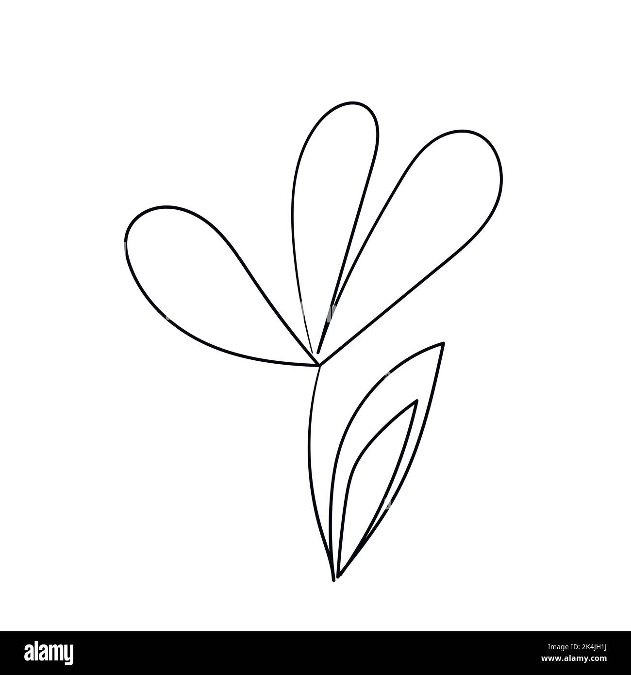 Flowers in continuous line Black and White Stock Photos & Images - Alamy