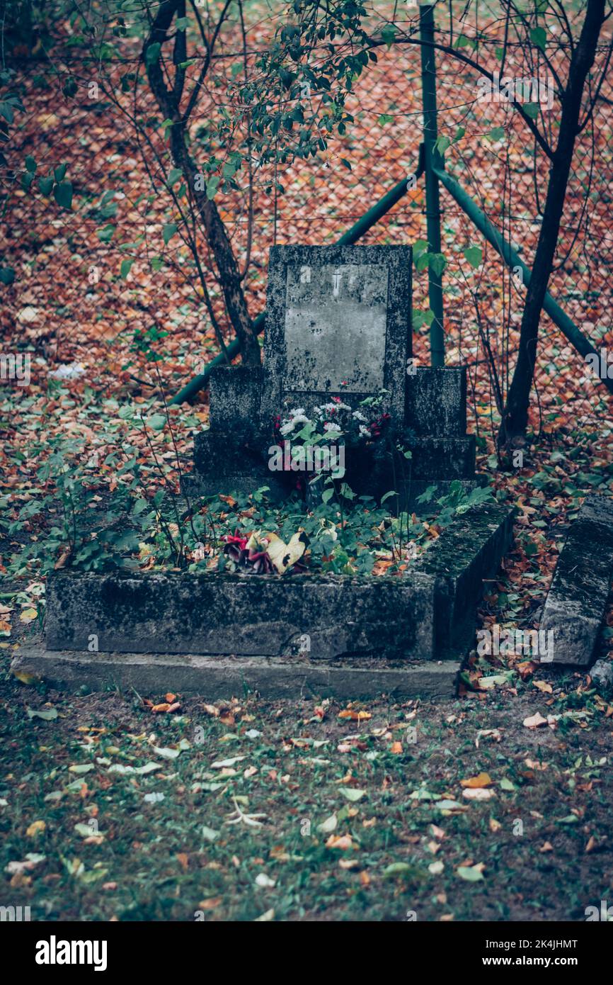 graves in cemetery adorned by burning candles, chrysanthemum flowers ...