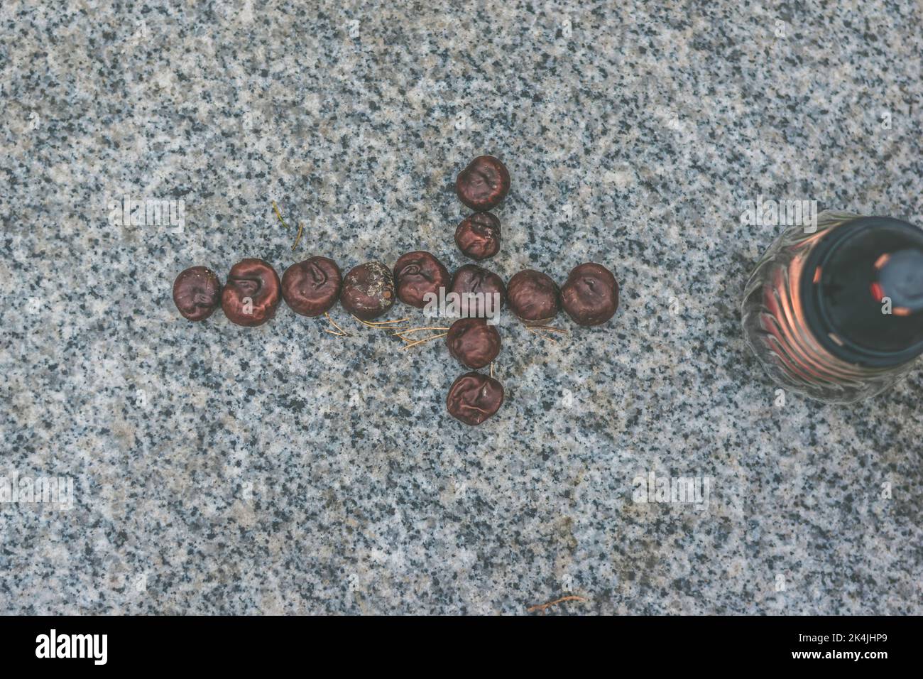 Chestnut peace symbol hi-res stock photography and images - Alamy