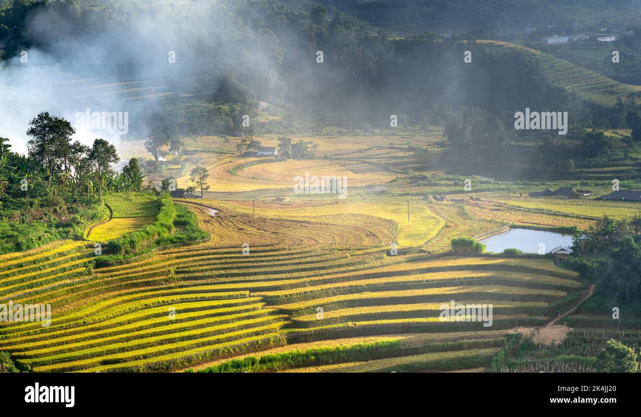 view of terraced fields in Lai Chau province northwest of Vietnam on ...