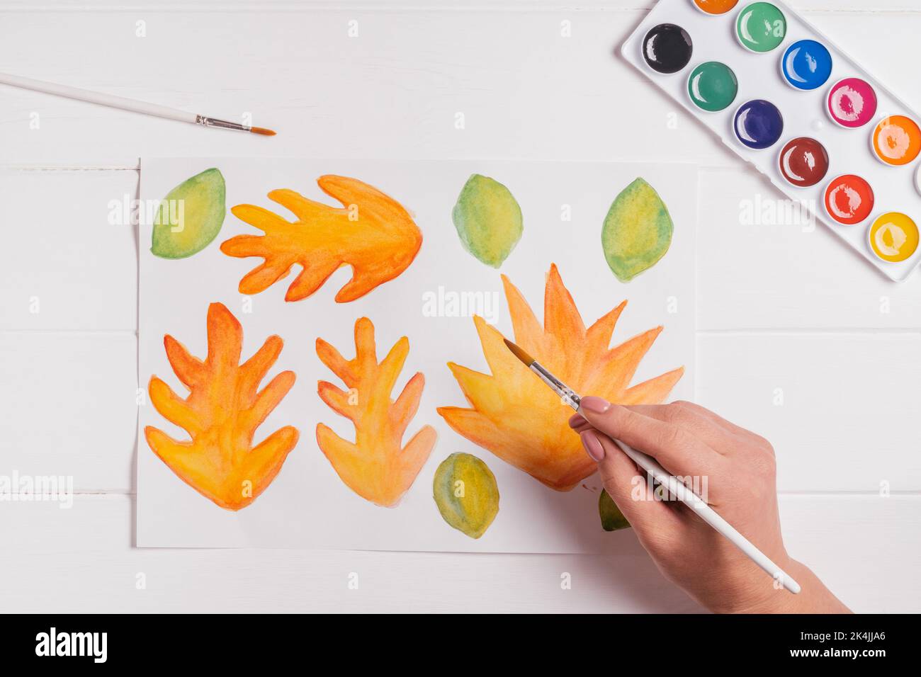 Female hand drawing autumn leaves of different shapes, sizes and colors ...
