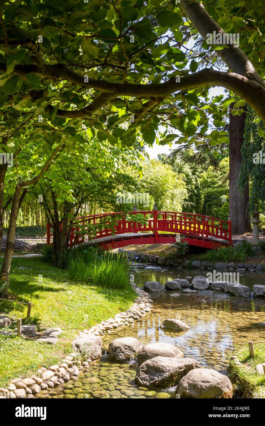 Traditional red wooden bridge on a japanese garden pond. Zen background ...