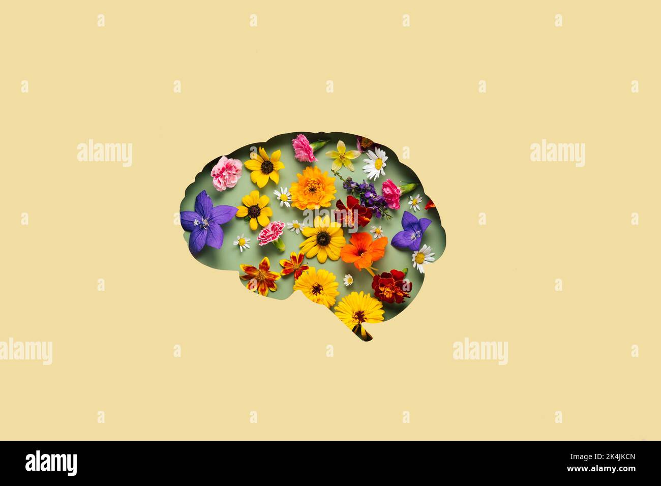 Brain flowers hi-res stock photography and images - Alamy
