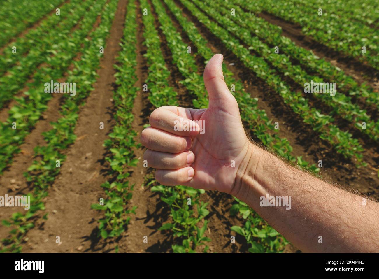 Soybean farmer gesturing thumbs up hand sign for approval in perfectly ...