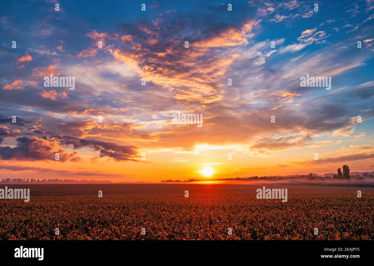 Bright colored sunrise or sunset in the countryside. A wonderful ...