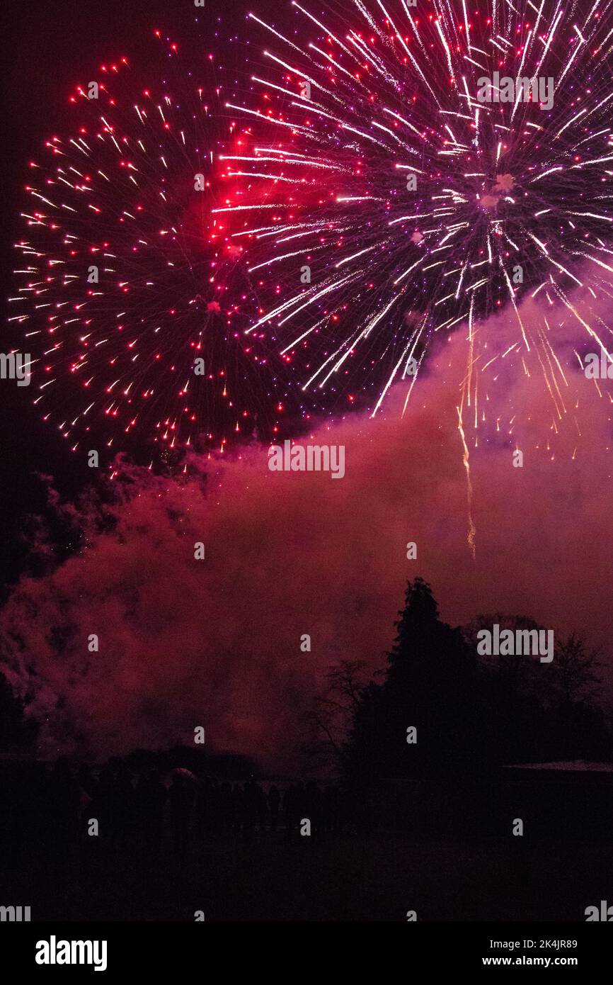 A silhouette of trees on the fireworks show in Alton Towers theme park ...