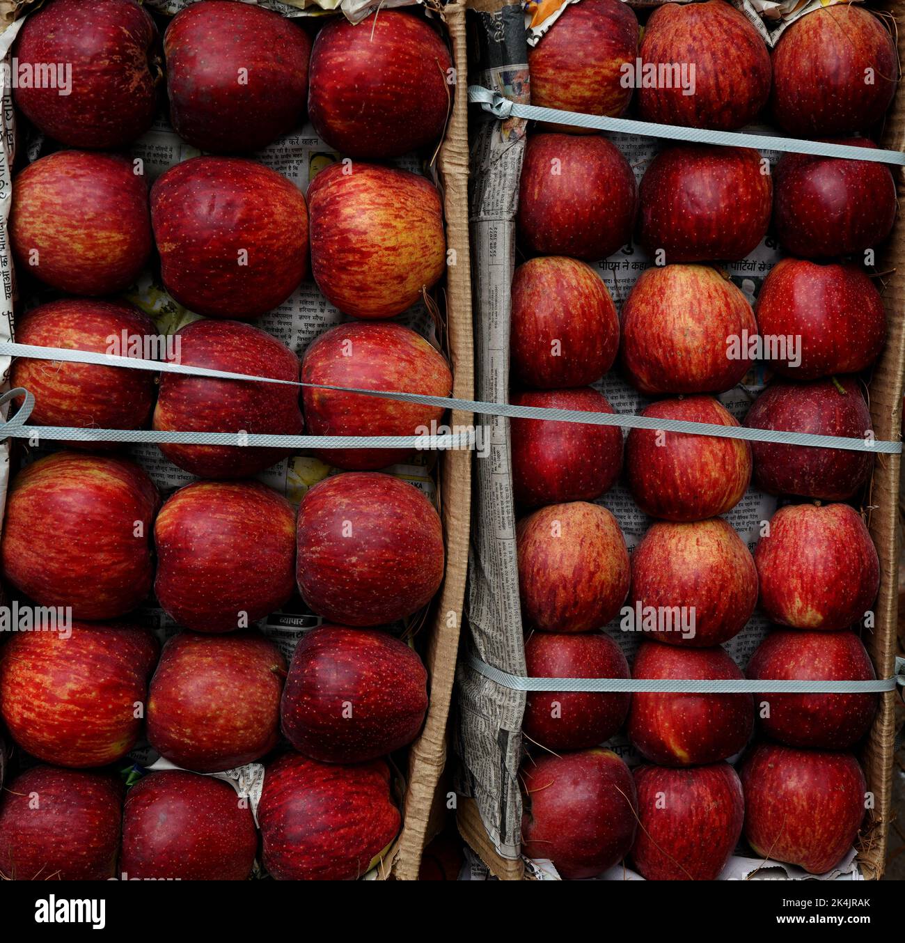 Packed in a cartoon hi-res stock photography and images - Alamy