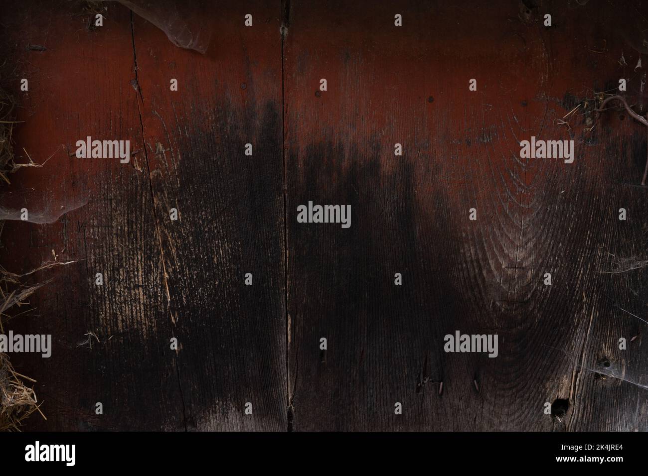 Wallboard background with weathered red paint with spider webs in the ...