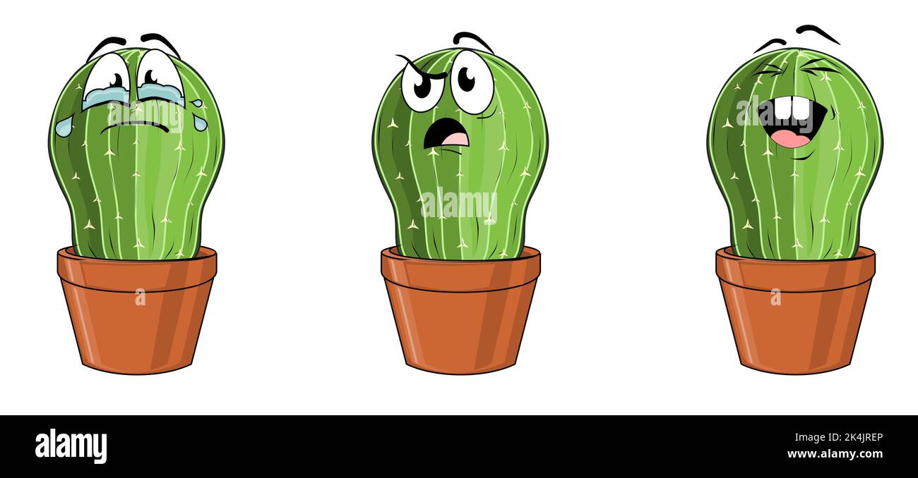faces of cactus Stock Photo - Alamy