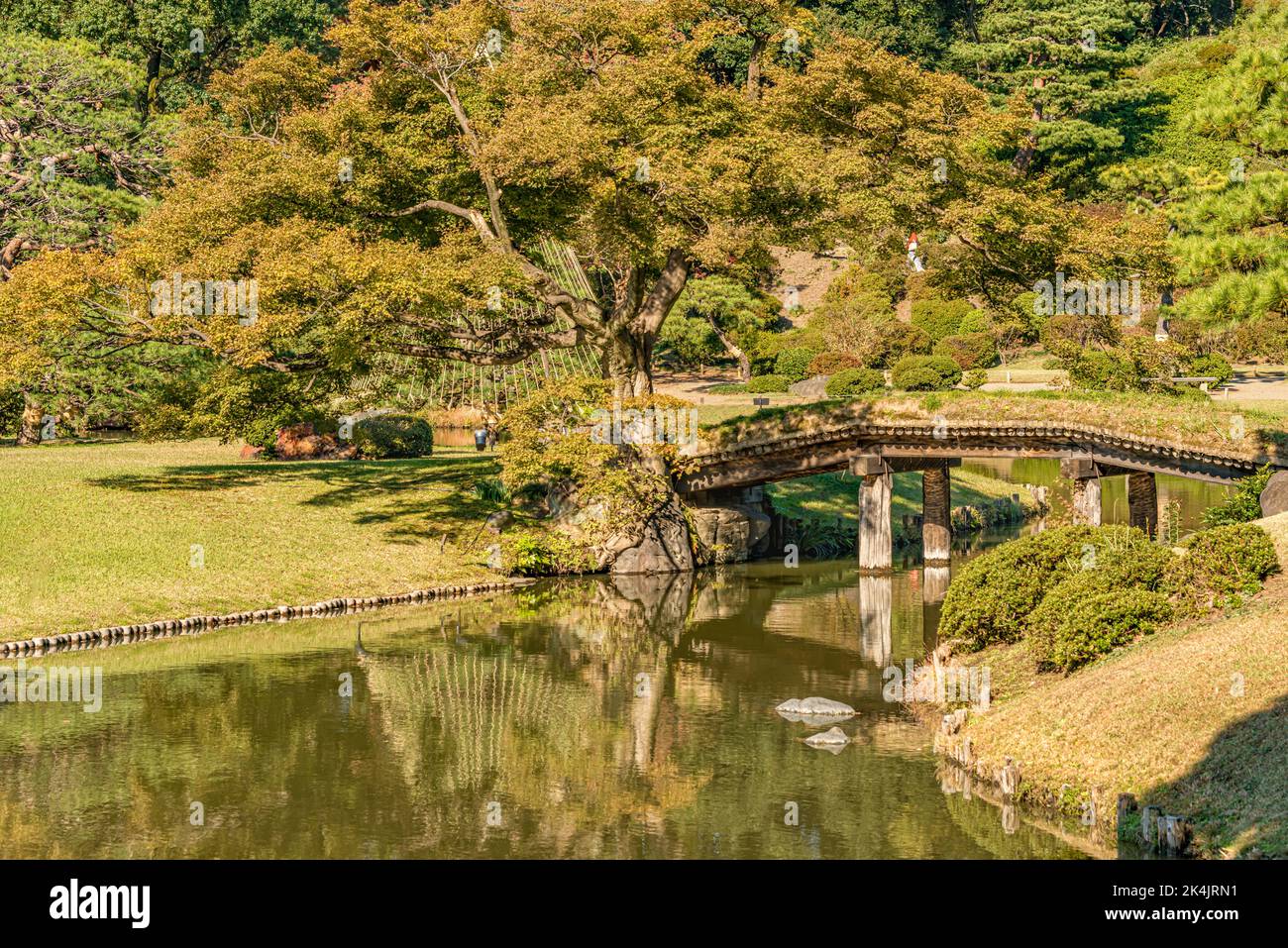 Fujinami-no-hashi bridge at Rikugien Gardens, Tokyo, Japan Stock Photo ...