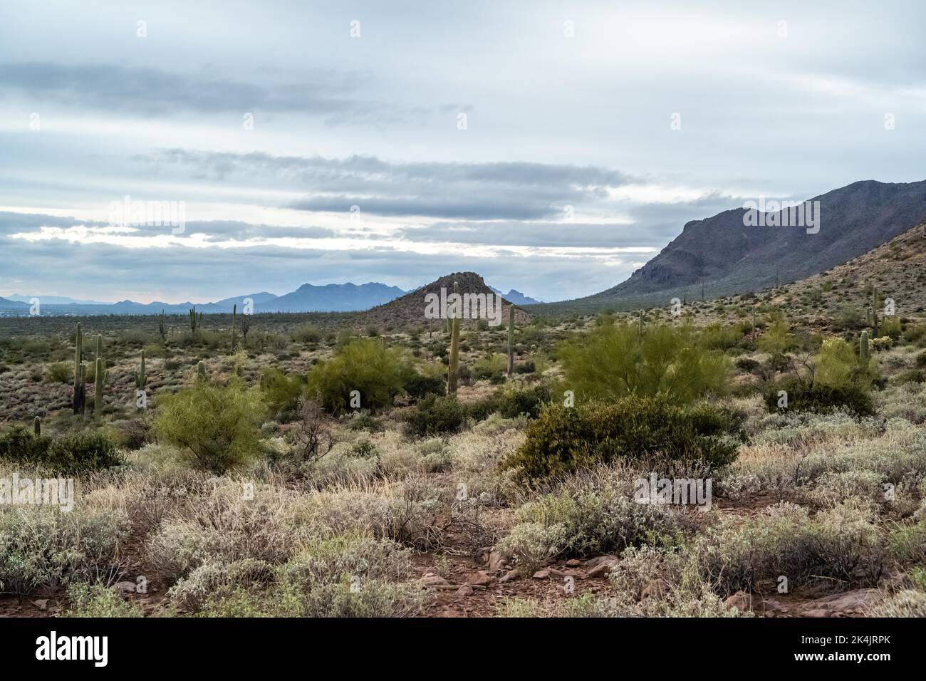 An overlooking view of Gold Canyon, Arizona Stock Photo - Alamy