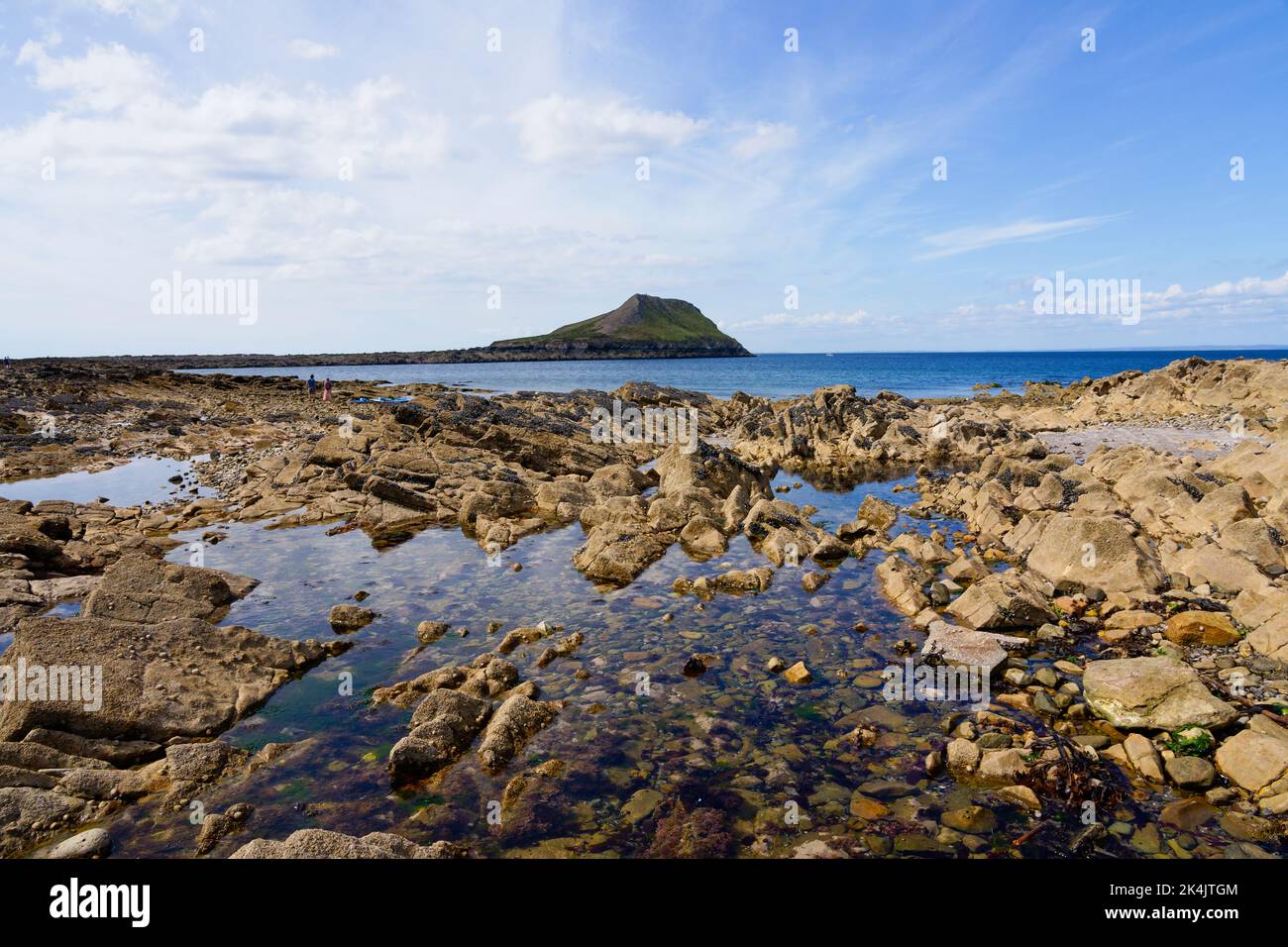 Shallow rock pools and jagged rocks covered with mussels and limpets on ...