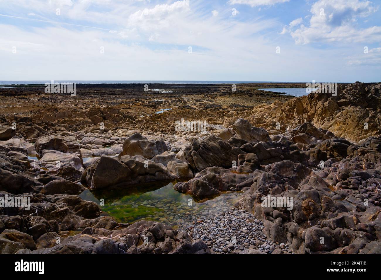 Low tide reveals worn rocks encrusted with molluscs and rockpools on the Worms Head causeway ...