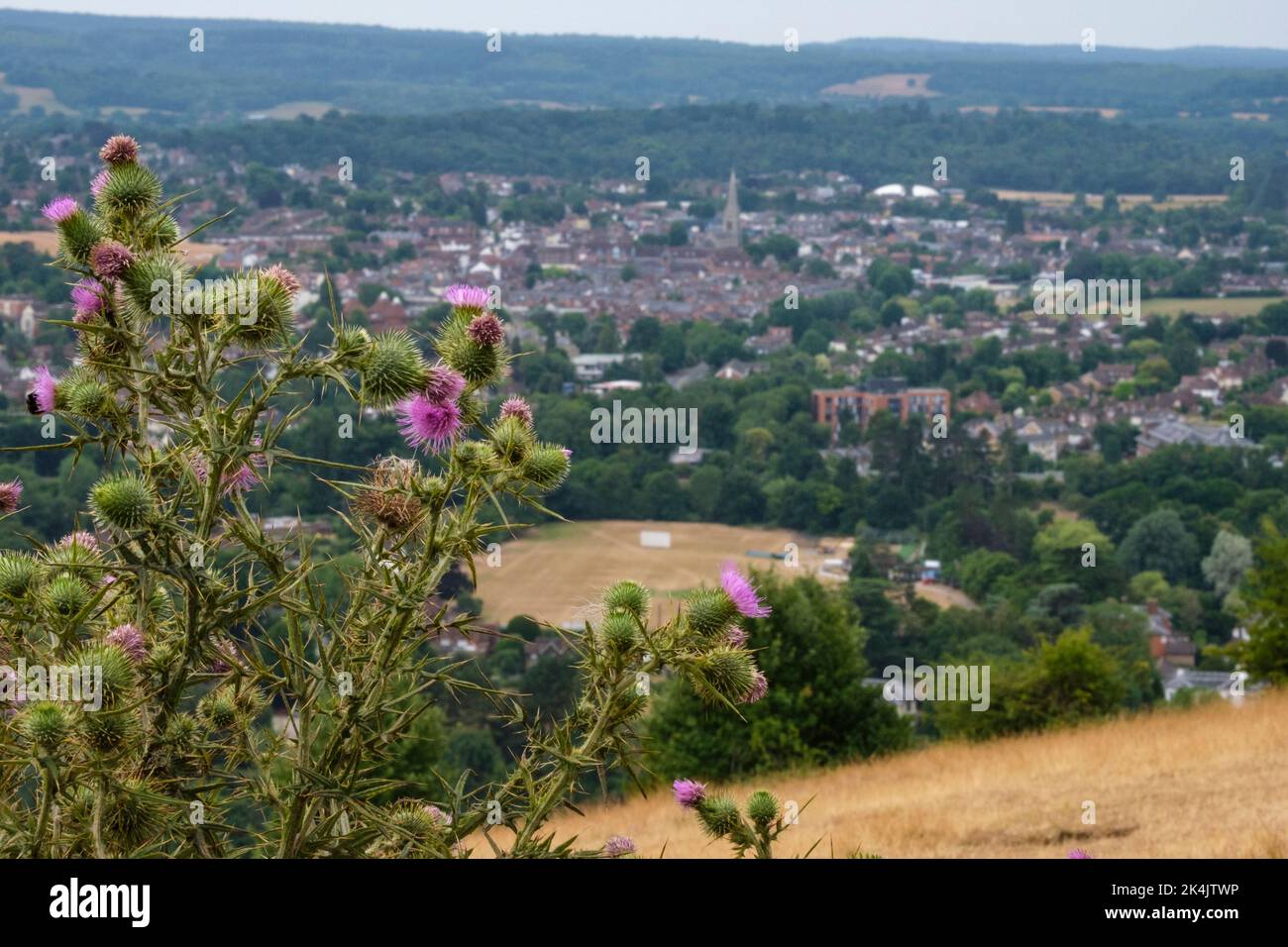 2022 frames hi-res stock photography and images - Alamy