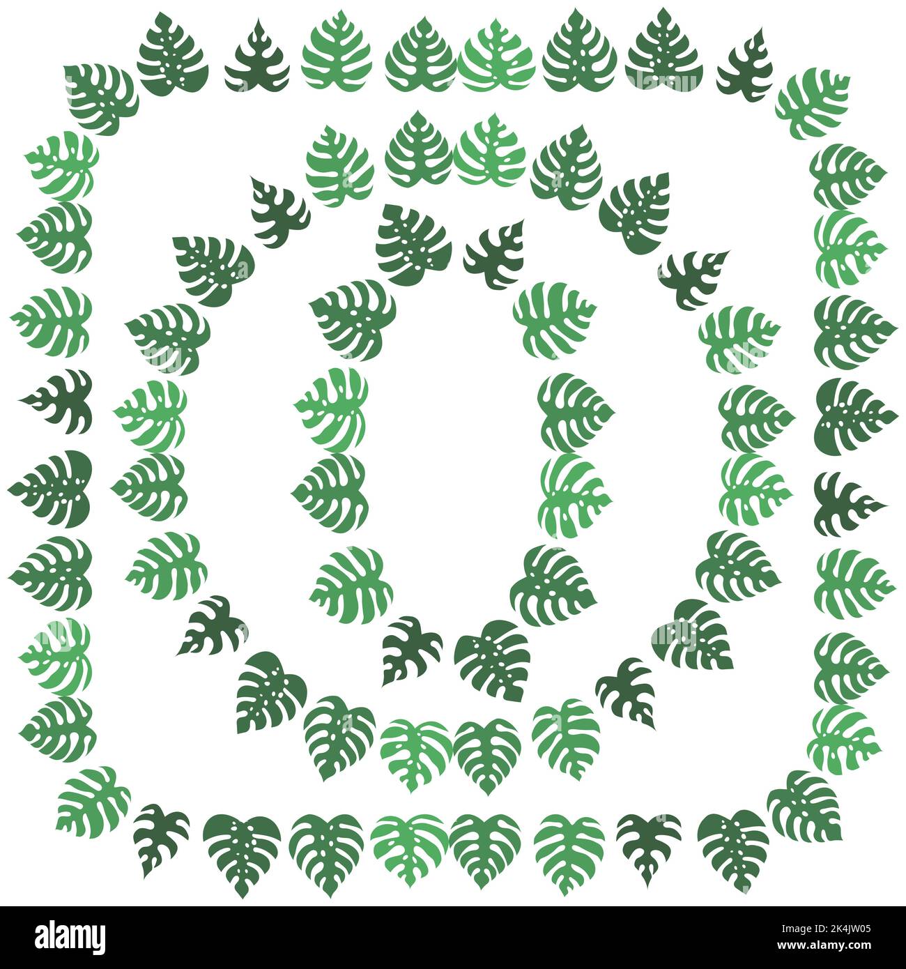 Set of Green Monstera Leaves Isolated on White Background. Natural ...