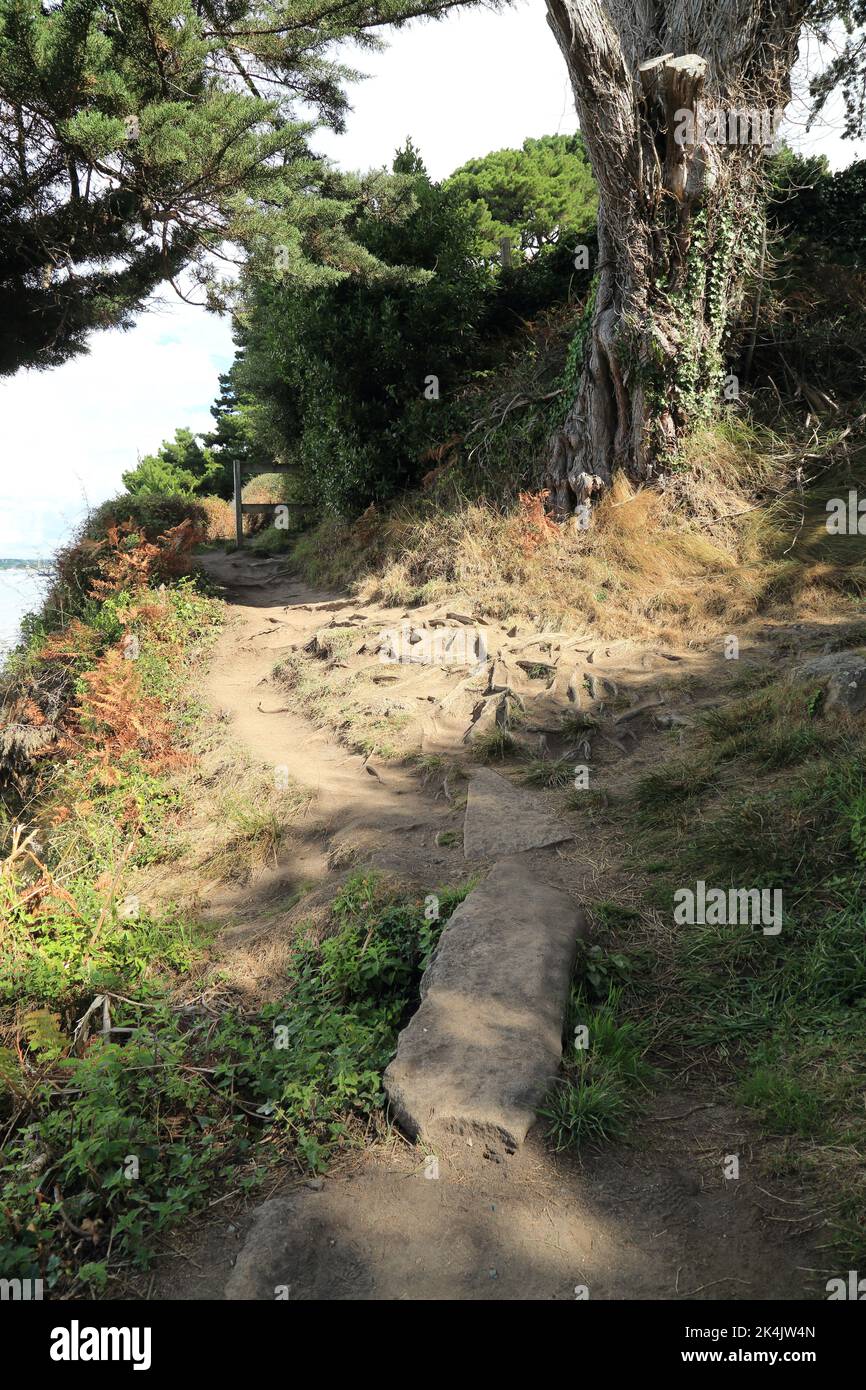 Coastal footpath (sentier cotier) at Pointe du Greignon, Ile Aux Moines ...