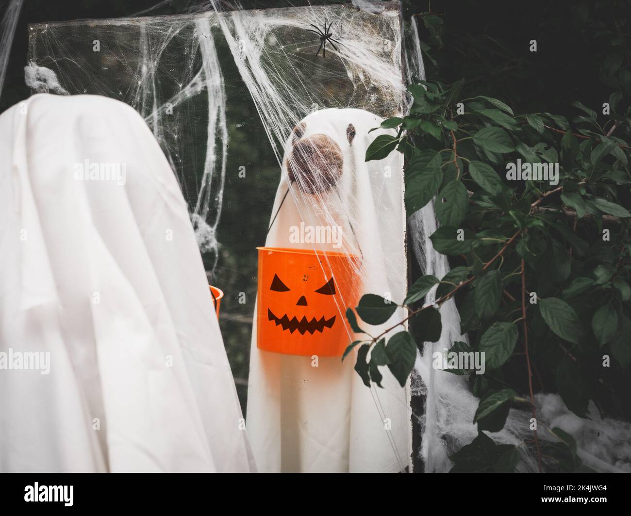 Happy Halloween. Charming, lovable brown puppy, ghost costume and old ...