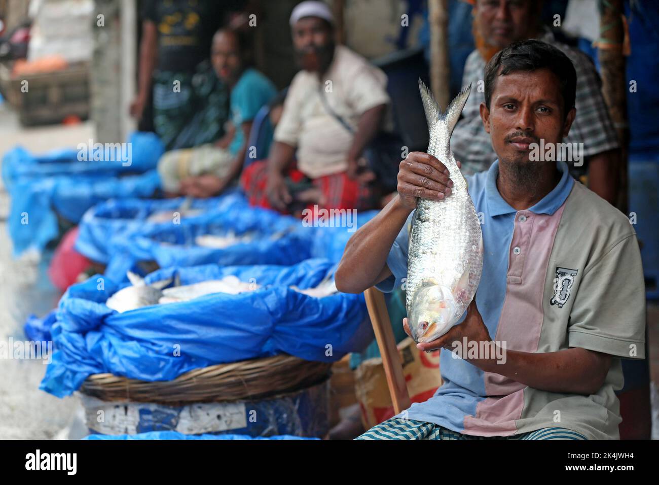 A retail hilsa fish seller holds a fish weighing 2500 grams, charging ...
