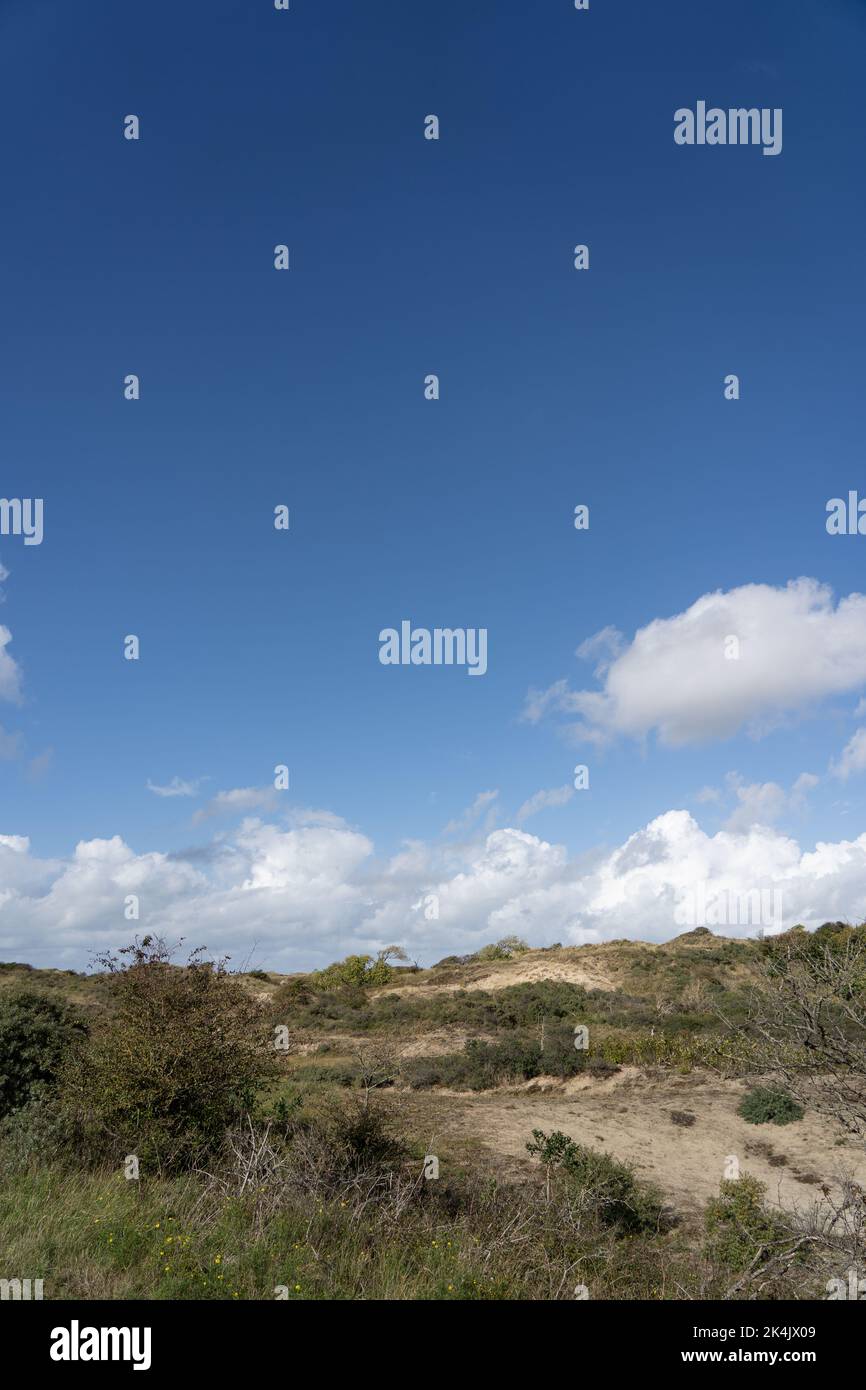 Blue Skies, Sky with white clouds in the dunes at Meyendel in the ...