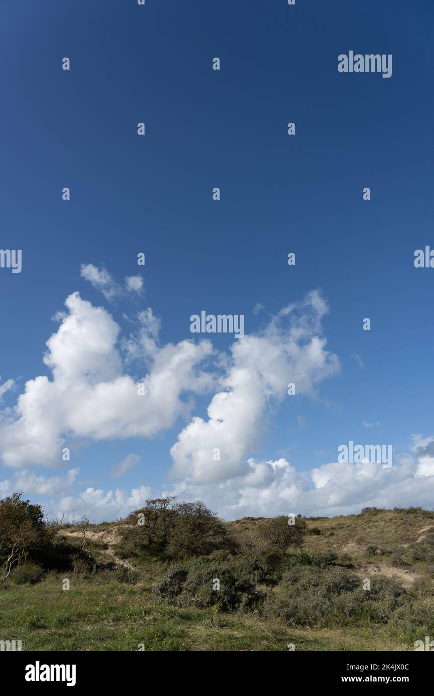 Blue Skies, Sky with white clouds in the dunes at Meyendel in the ...