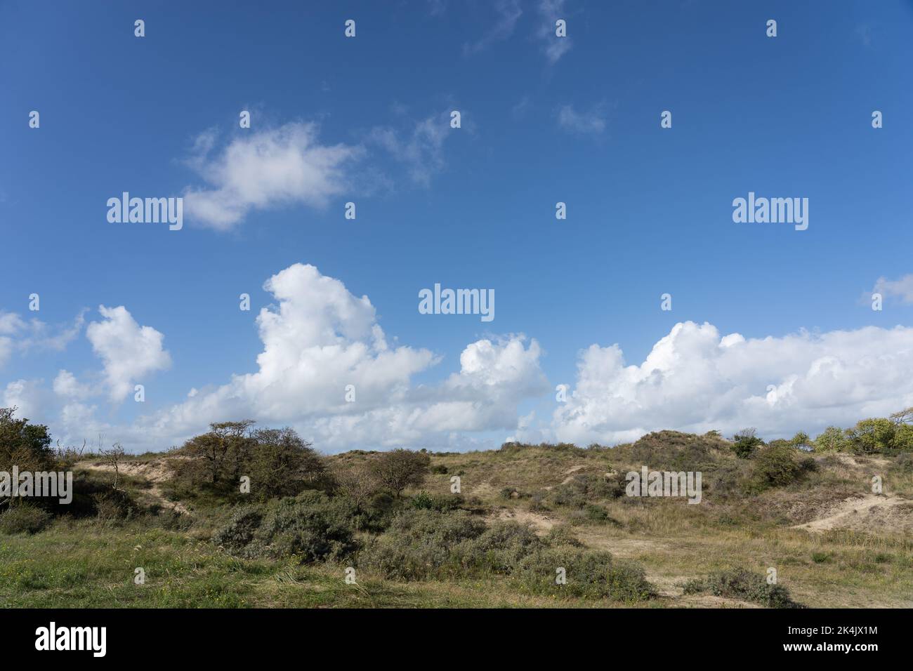 Blue Skies, Sky with white clouds in the dunes at Meyendel in the ...