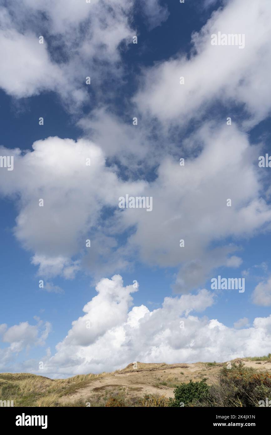 Blue Skies, Sky with white clouds in the dunes at Meyendel in the ...