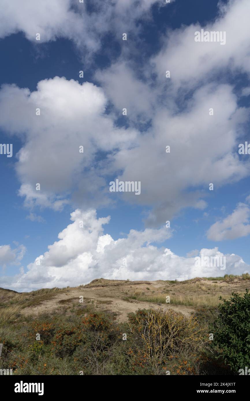 Blue Skies, Sky with white clouds in the dunes at Meyendel in the ...