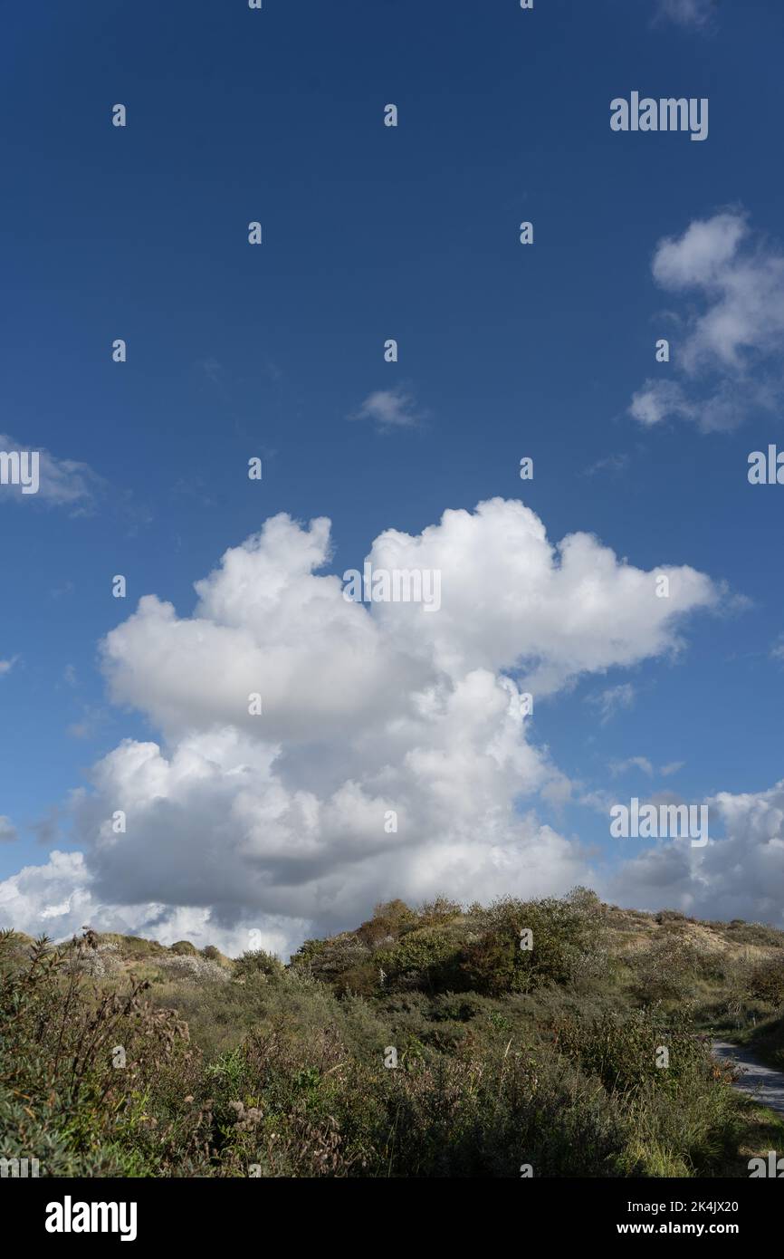 Blue Skies, Sky with white clouds in the dunes at Meyendel in the ...