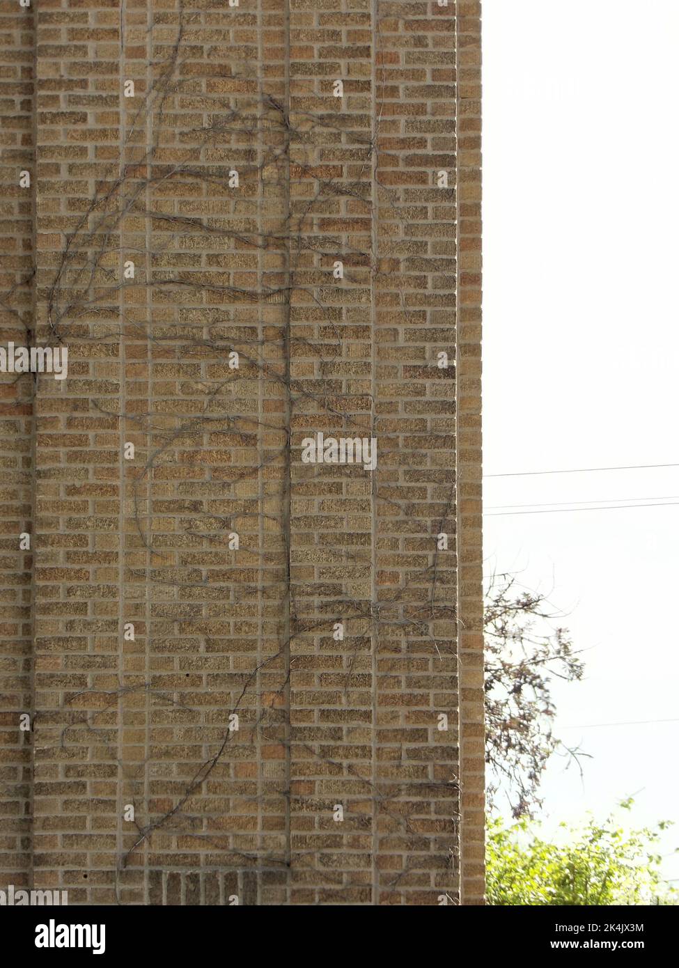 A vertical shot of thick brick wall of historical building Stock Photo ...