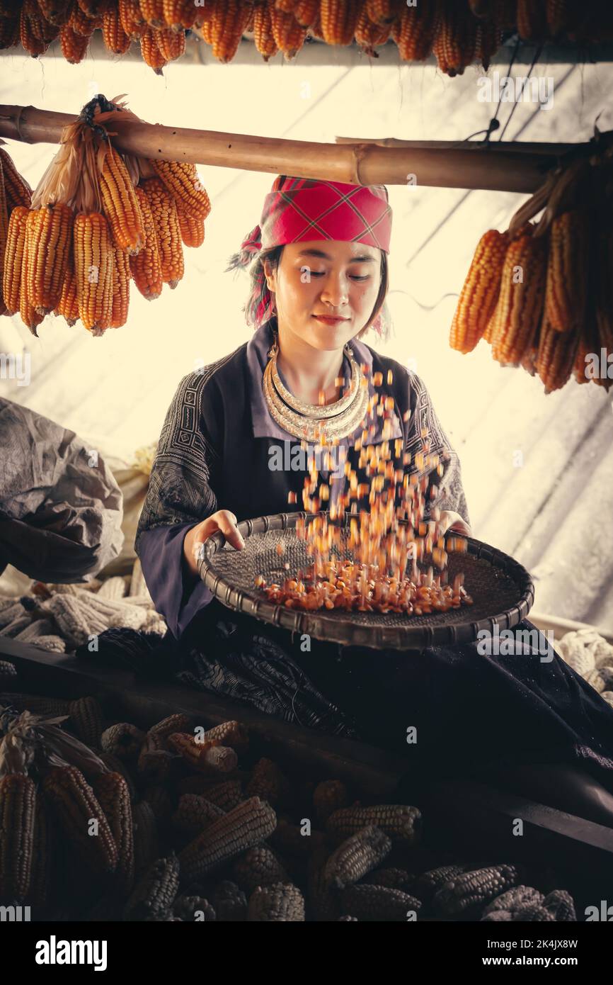 Hmong minority people working and smiling with labor achievements ...