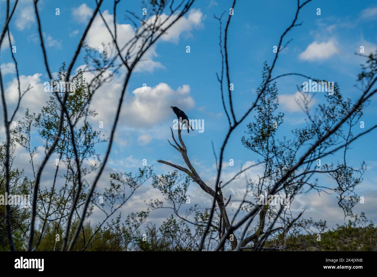 Organ pipe mountain formation hi-res stock photography and images - Alamy