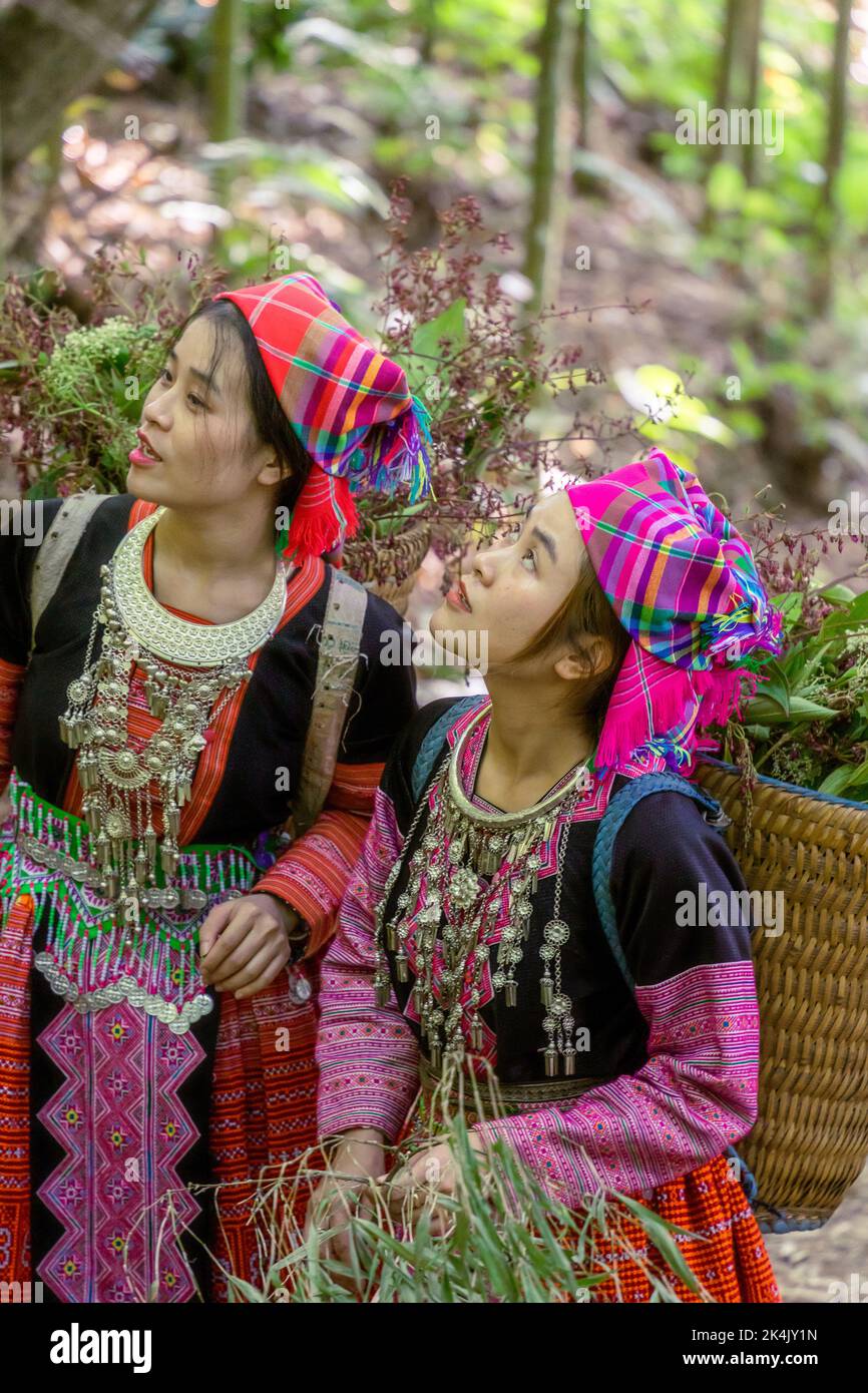 People H'mong ethnic minority with colorful costume dress walking in ...