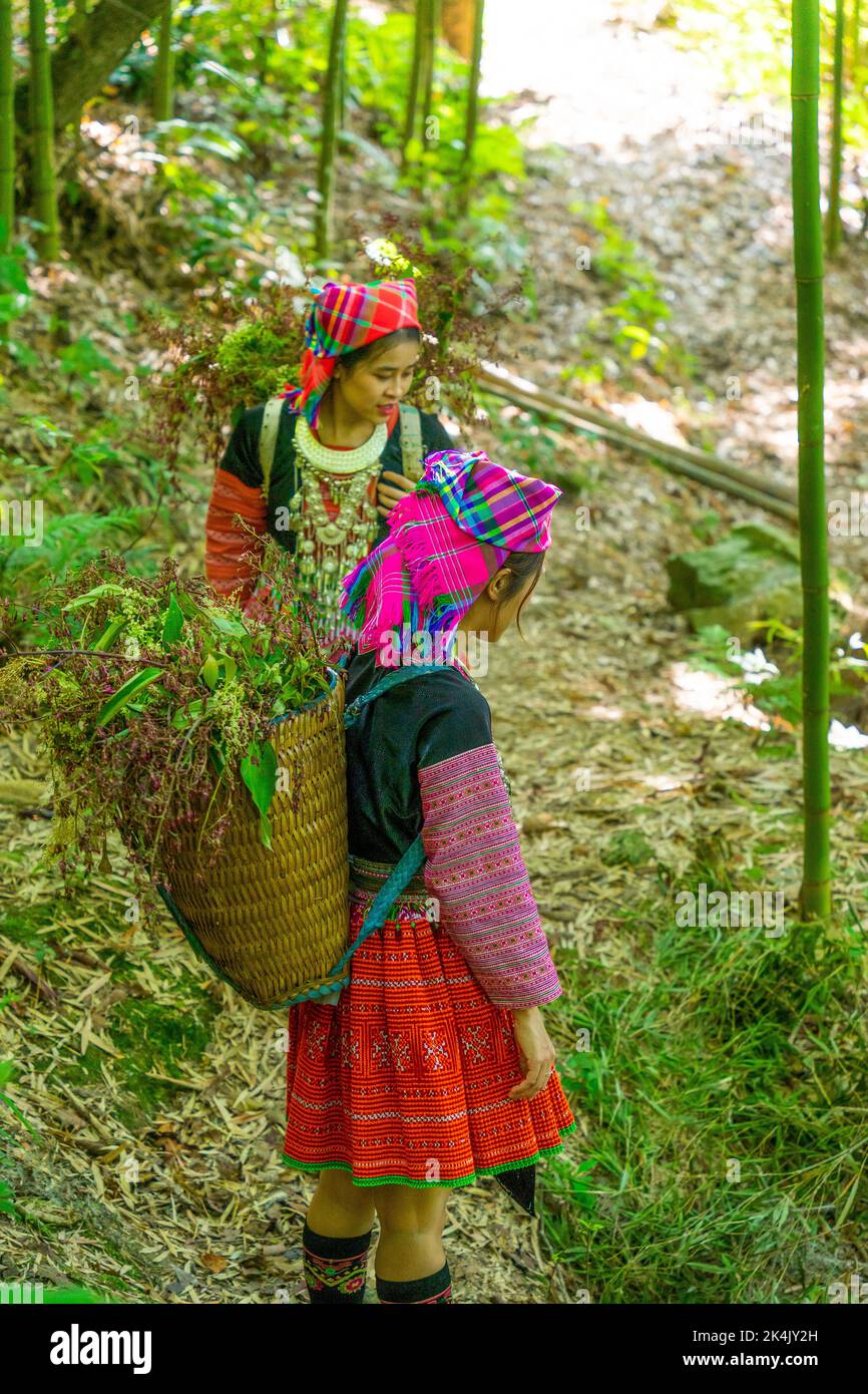 People H'mong ethnic minority with colorful costume dress walking in ...